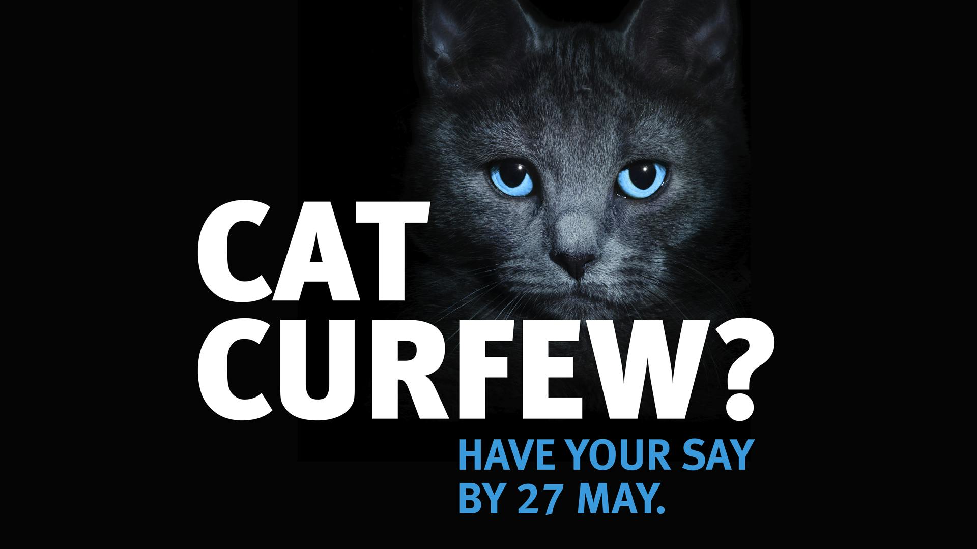 Proposed Cat Curfew By-laws | Making Marion