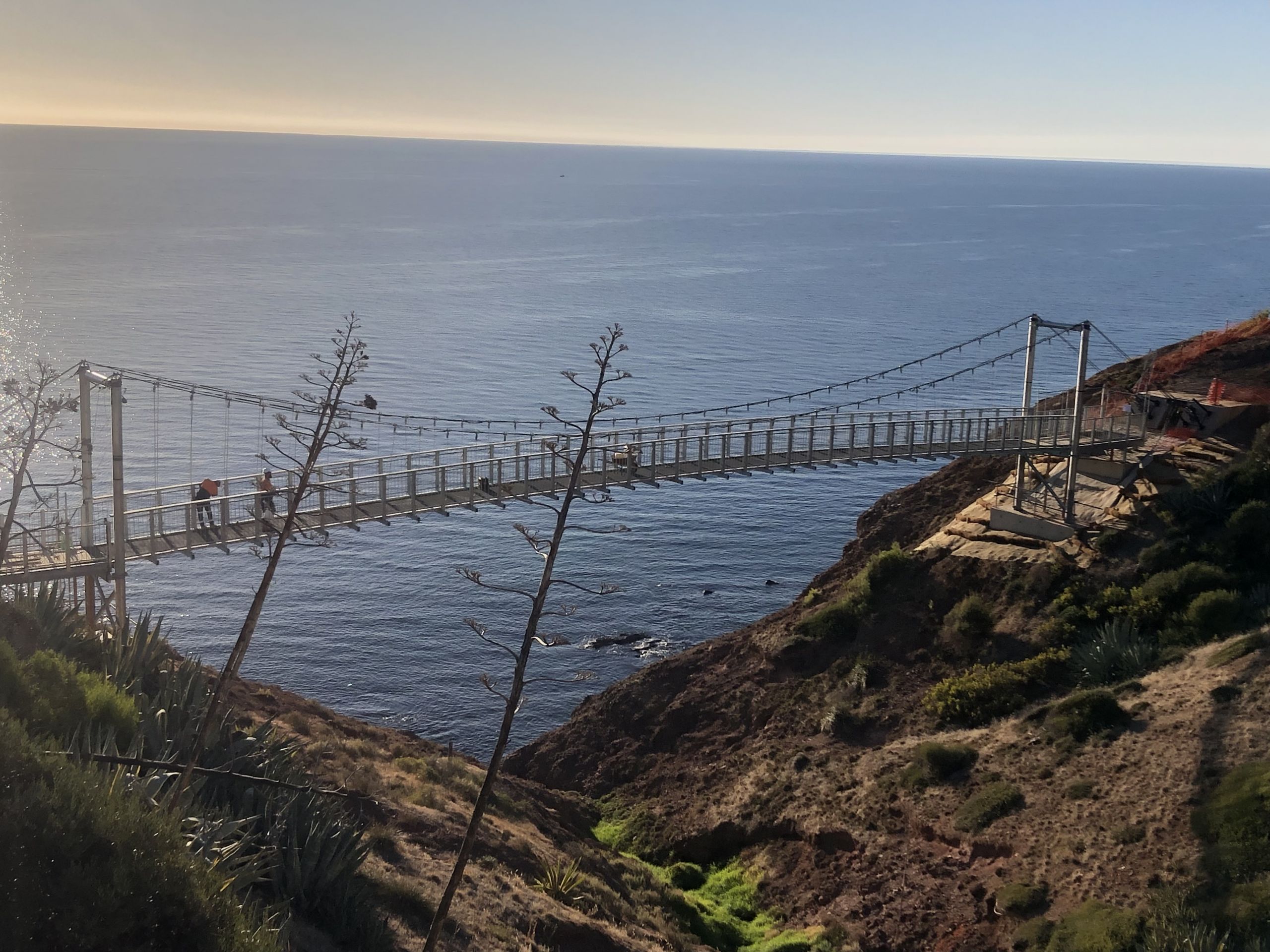 Latest news | Coastal Walkway Bridges | Making Marion