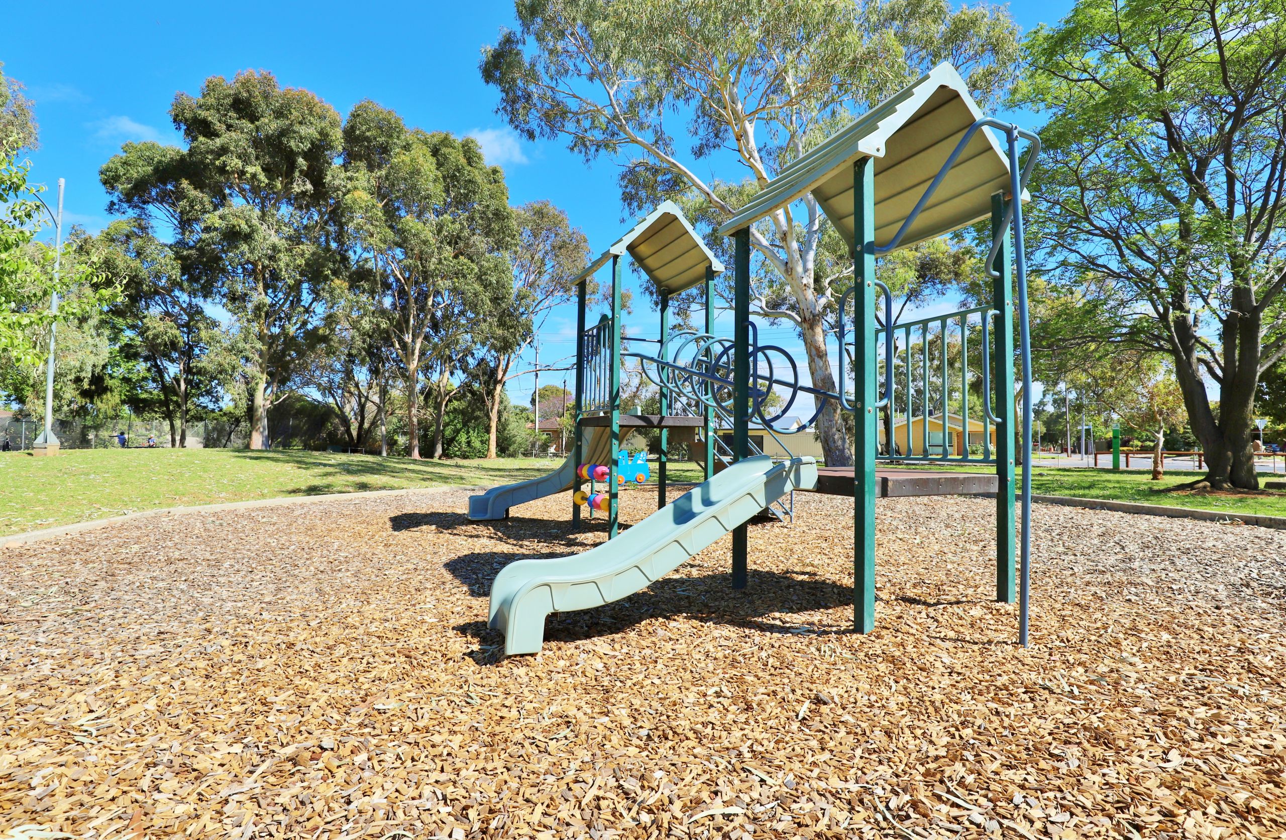 George Street Reserve Consultation | Making Marion